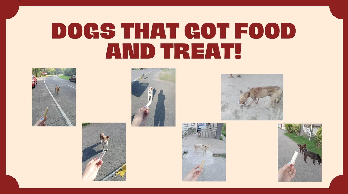 Feeding Stray Dogs in low-income Areas – Ang Pinoy Na Bahala
